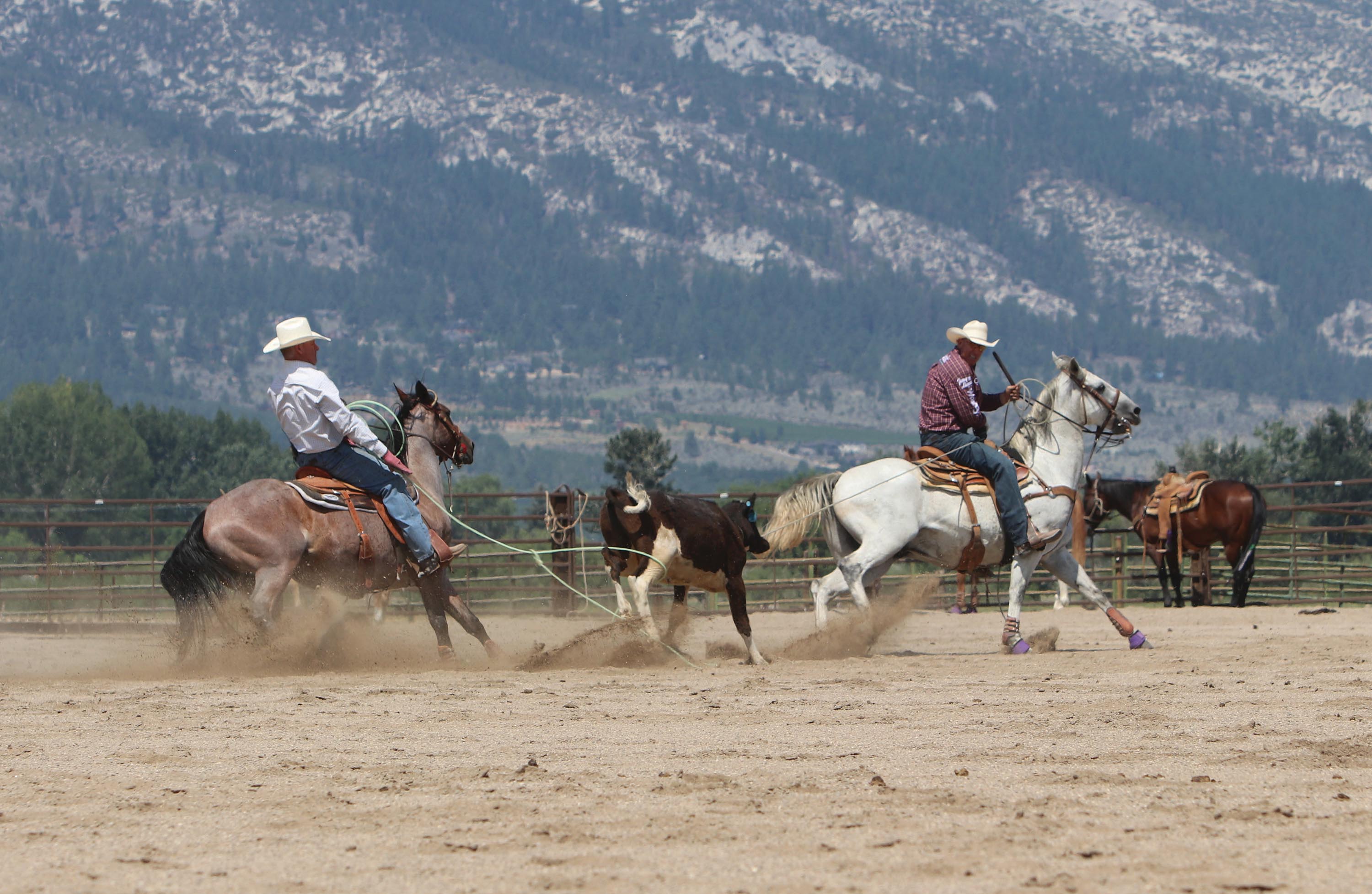 The Battle of Making All Moving Parts Work as One - The Team Roping Journal