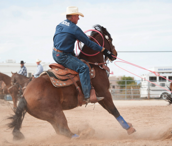 The Importance of Good Horsemanship in Team Roping