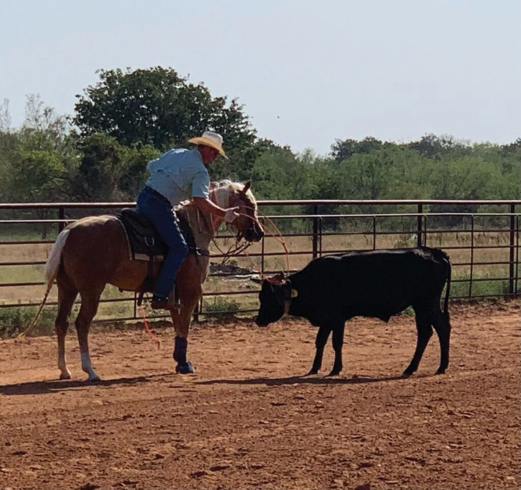 Why Take Head Ropes Off in the Arena?
