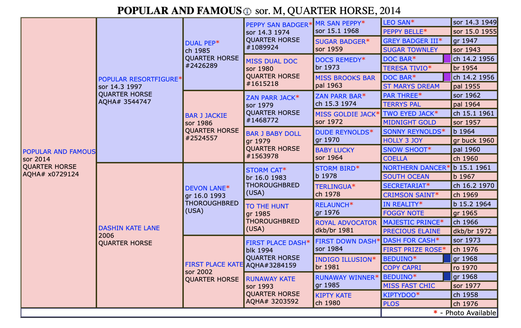 NFR-Qualifying Head Horse Pedigrees 2023