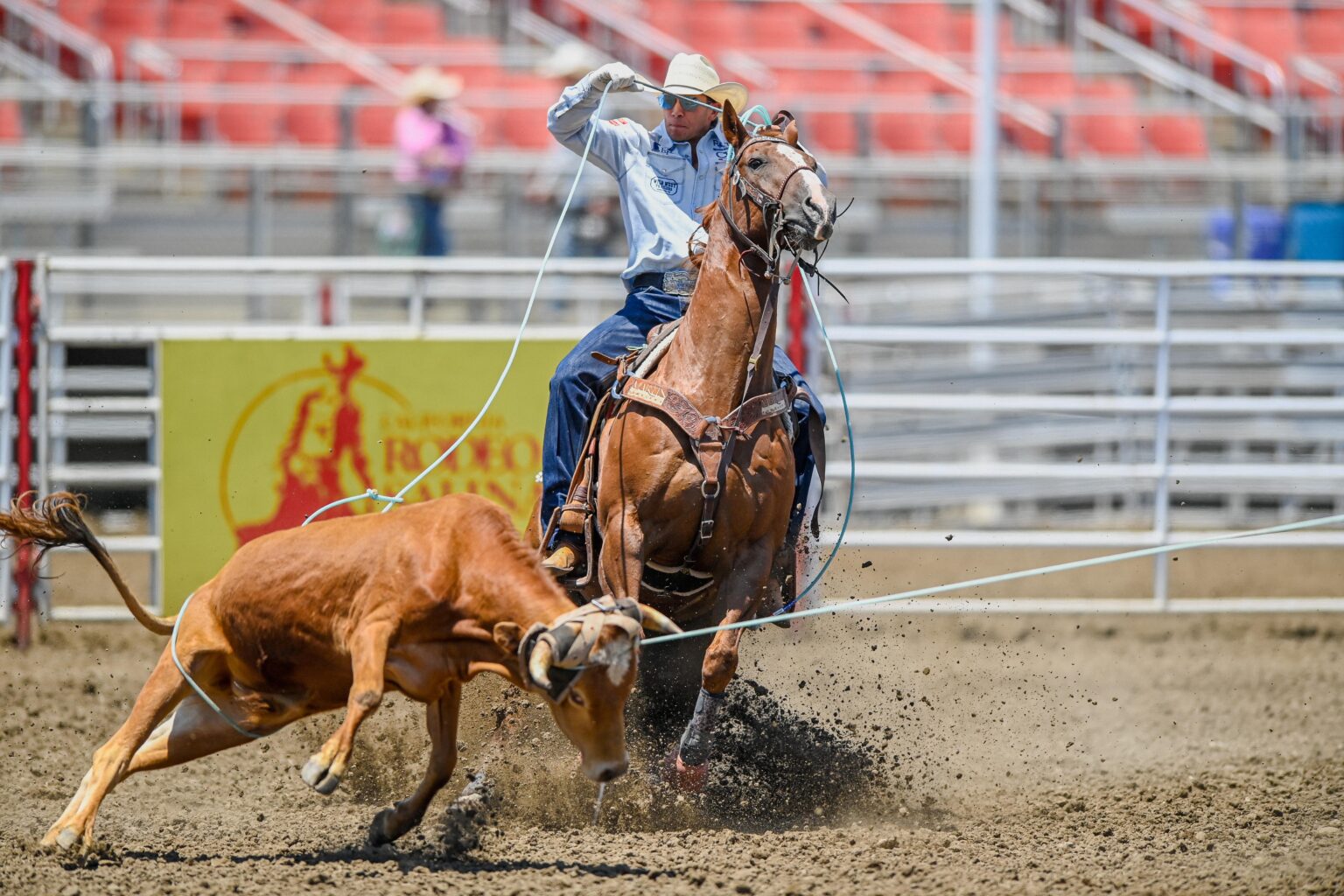 Buckle Up: The Rodeo Roller Coaster Ride of Paden Bray’s Life