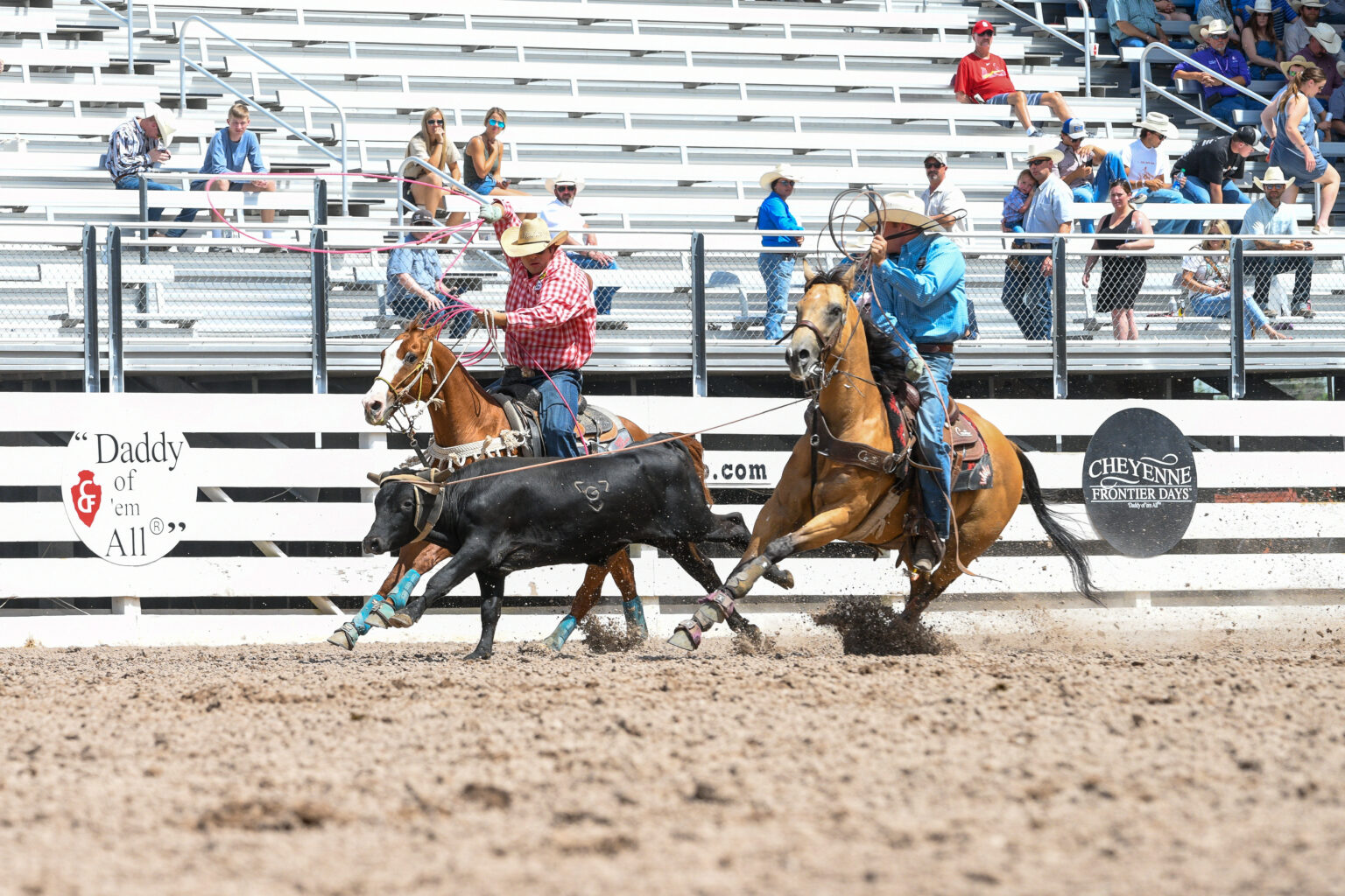 Mountain States Circuit Team Roping Repping in Cheyenne