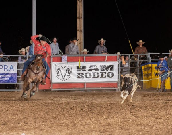 2023 Resistol Rookie of the Year Race Stats - The Team Roping Journal