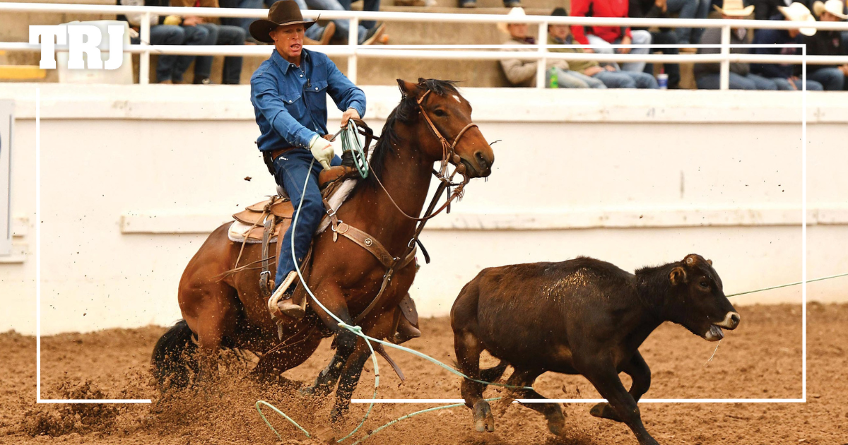 Meet Colter Todd's New Horse: Buddy