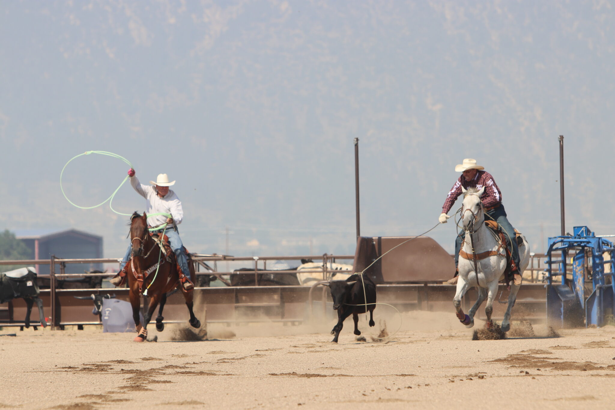 Jake Barnes and Clay O'Brien Cooper's Team Roping Beginnings