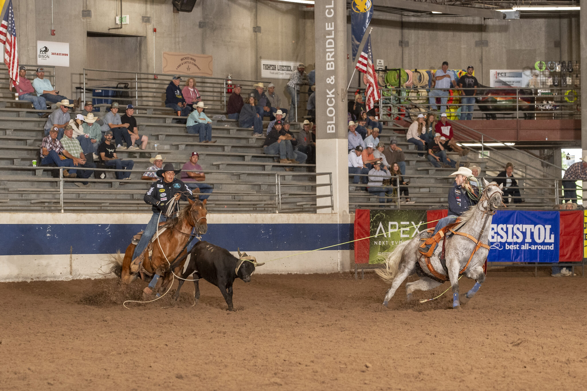 Ariat WSTR's The Daddy 2023 Results