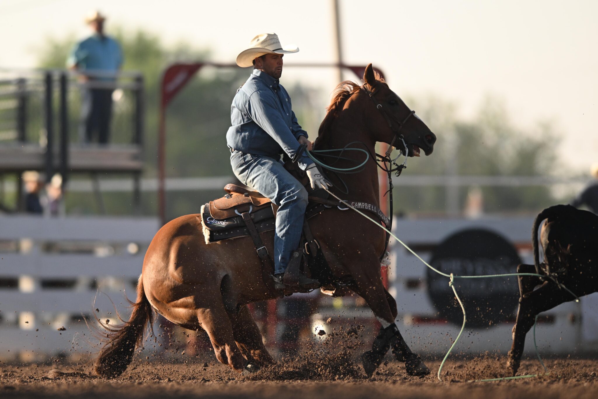 Paul Eaves Buys Apolo Oak - The Team Roping Journal