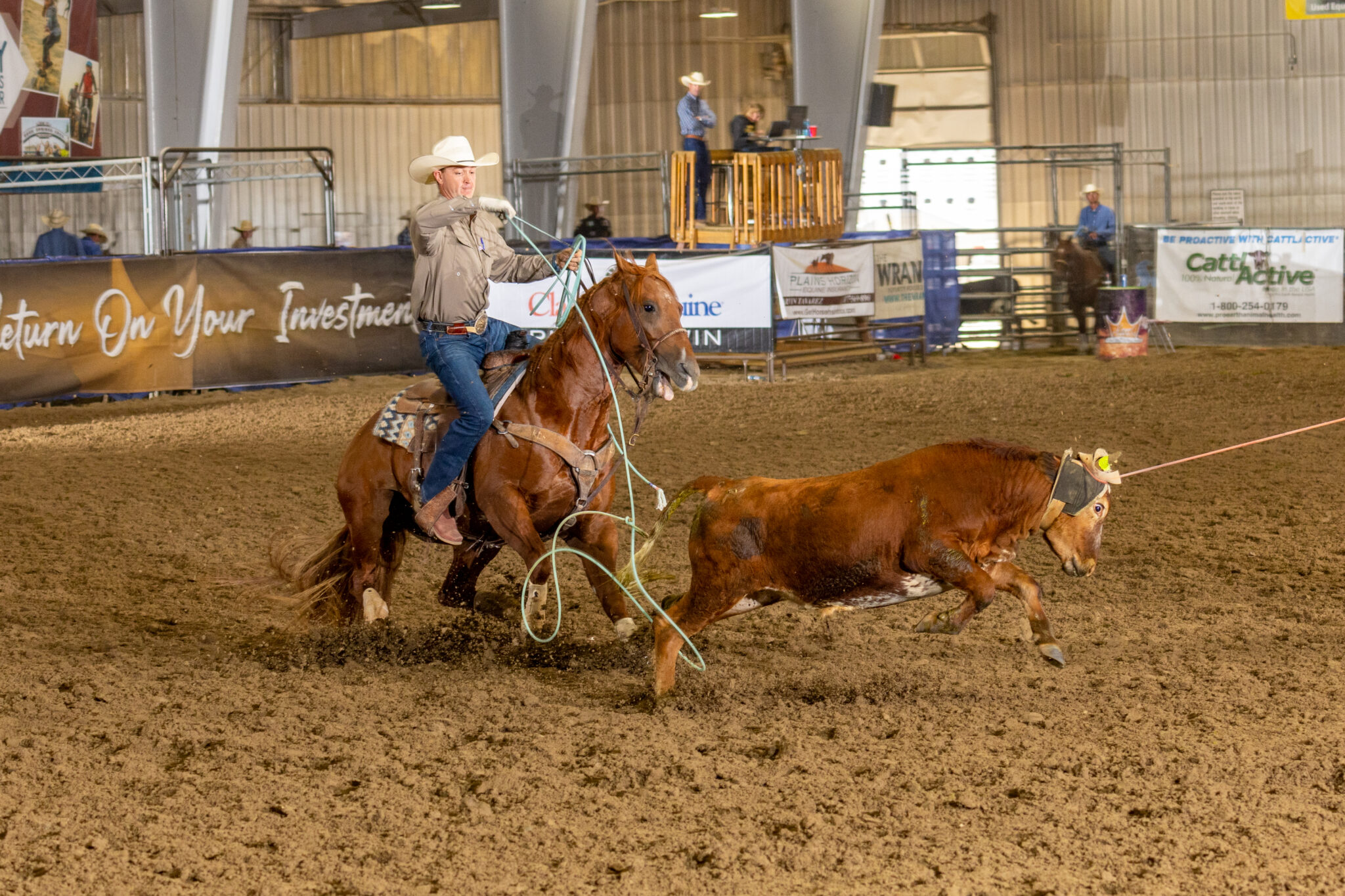 Royal Crown Roping Rock Springs Results - The Team Roping Journal