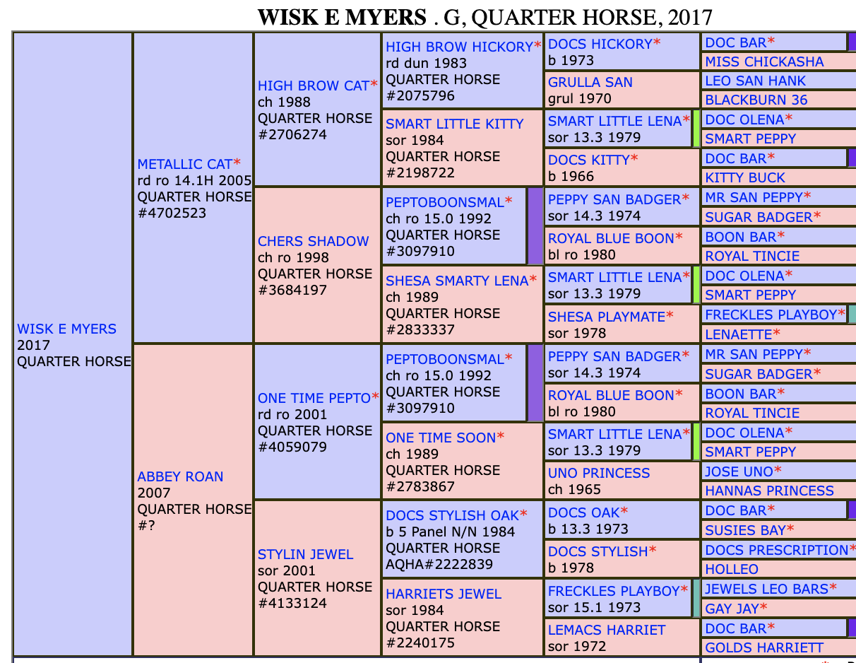 Platinum Medal Futurity Heading Pedigrees - The Team Roping Journal
