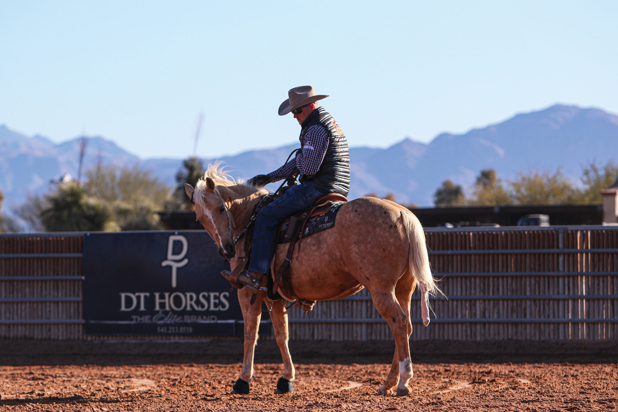 Big-Ticket Season: Roping.com's Fall 2023 Releases