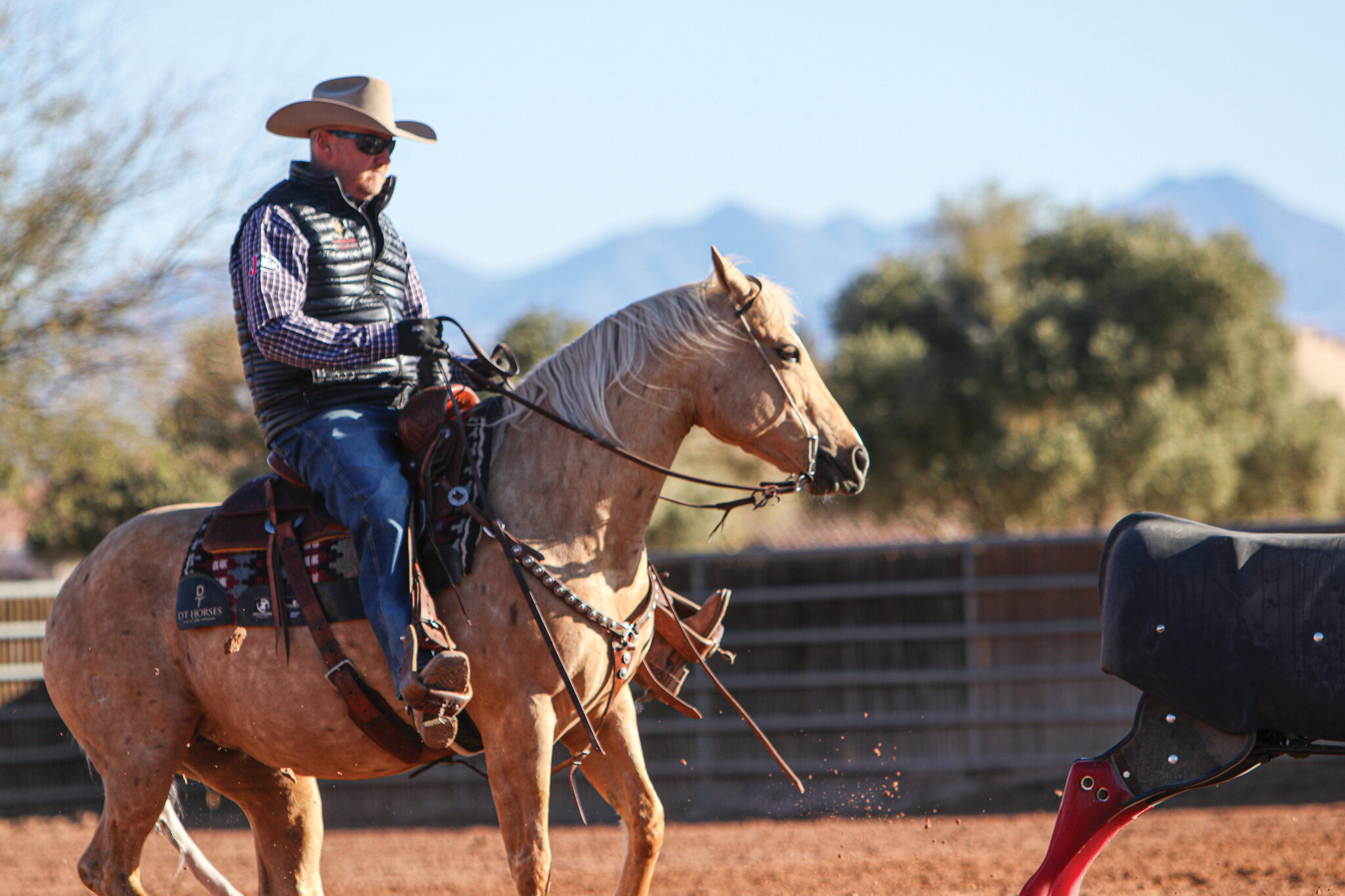 Rope Horse Training: Circling for Softness