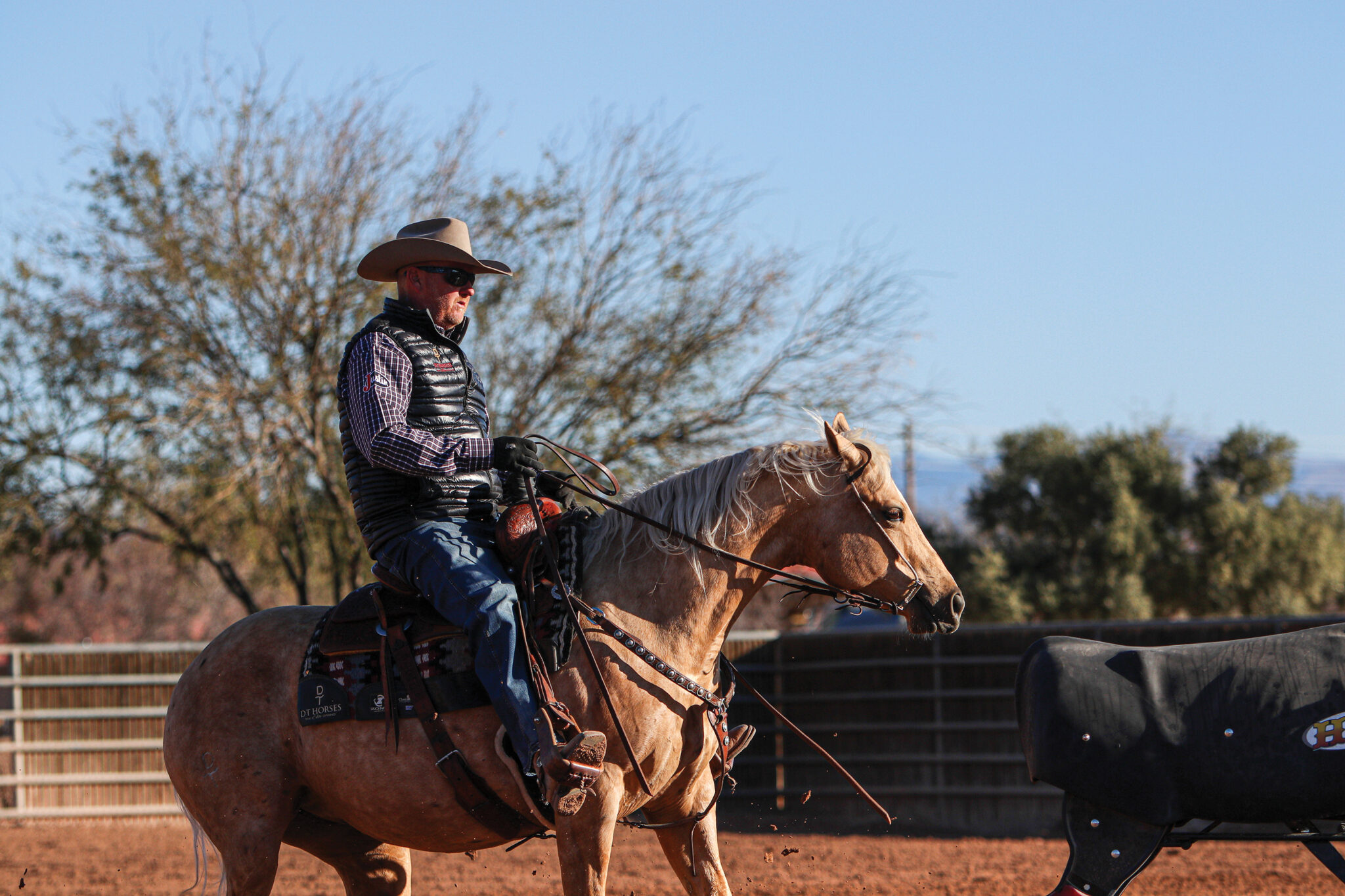 Rope Horse Training: Circling for Softness