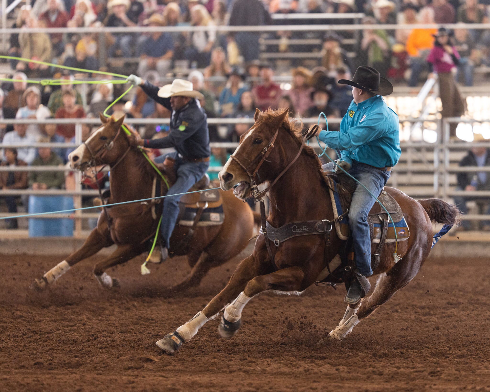 2023 Team Roping Guide to Queen Creek, Arizona