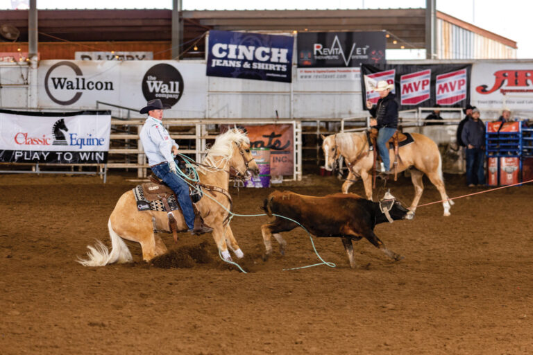Rope Horse Events in Arizona (Winter 2024)