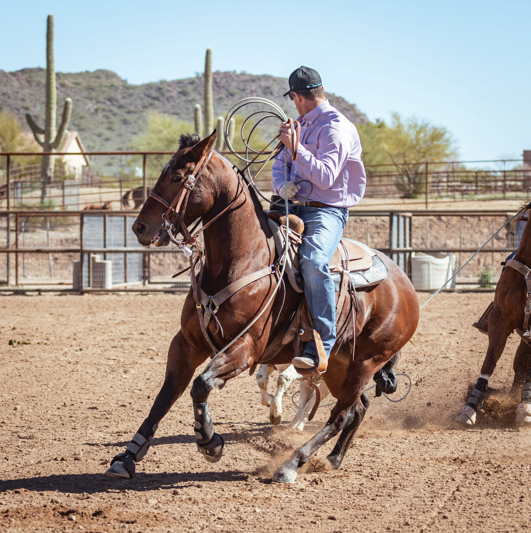 Rhen Richard's A&C Racing and Roping Returns to Arizona