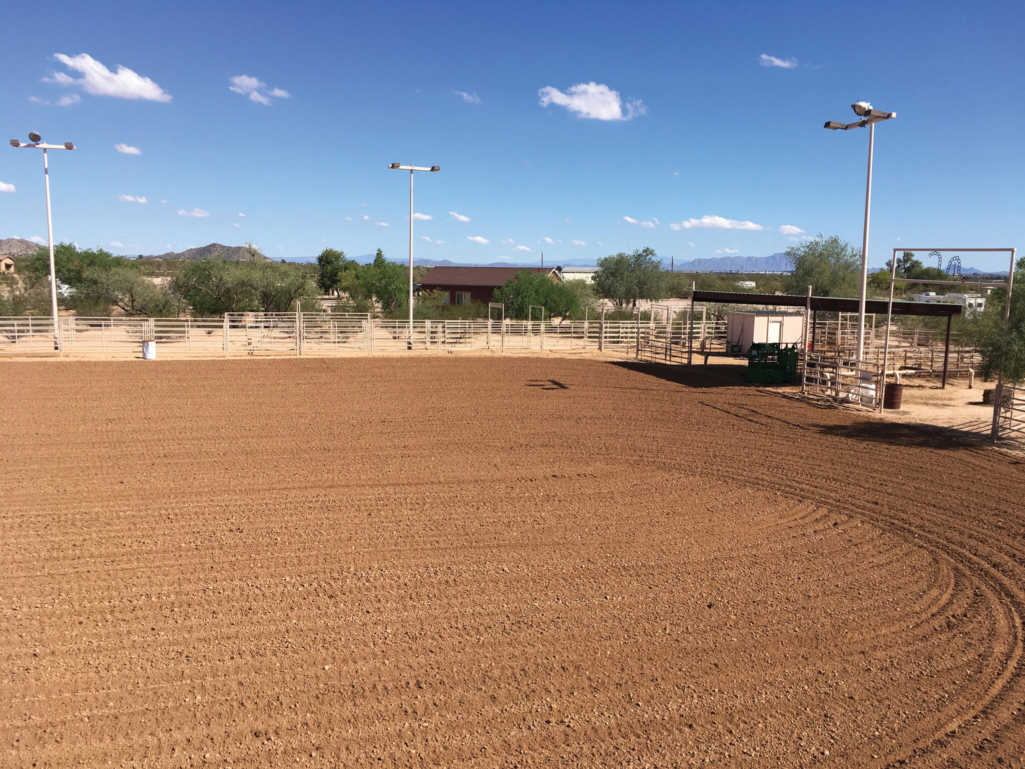 The Walking N: Team Roper Paradise