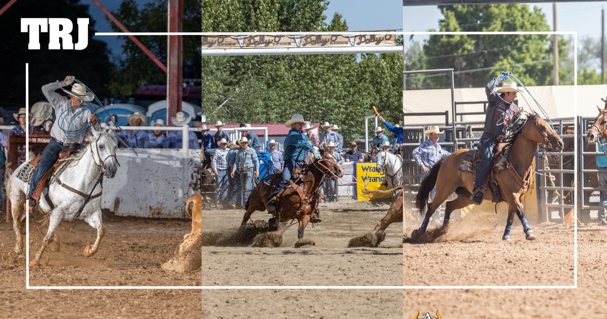 Who *Should Win the 2023 Heel Horse of the Year Award? - The Team ...