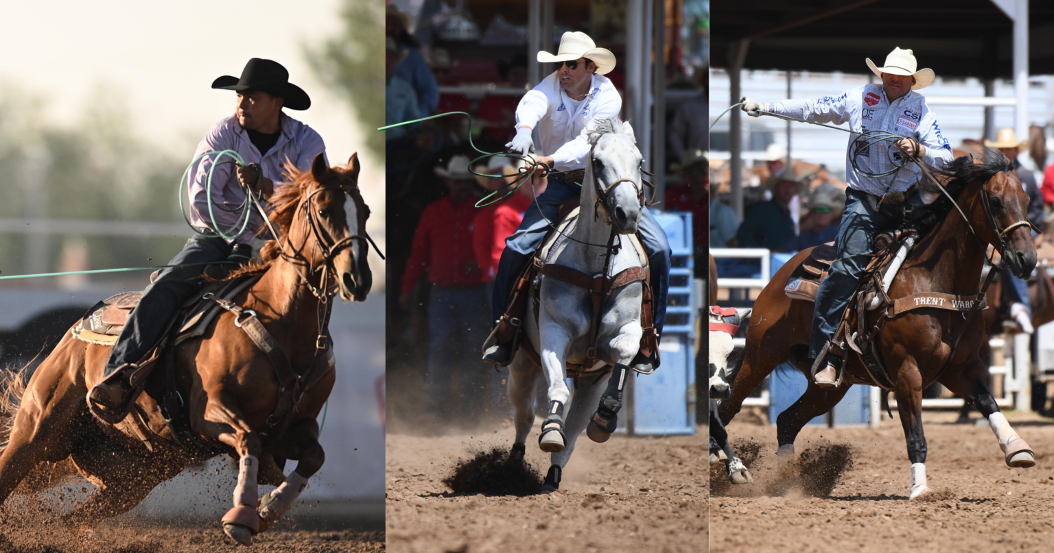 Who *Should Win the 2023 Head Horse of the Year Award? - The Team ...