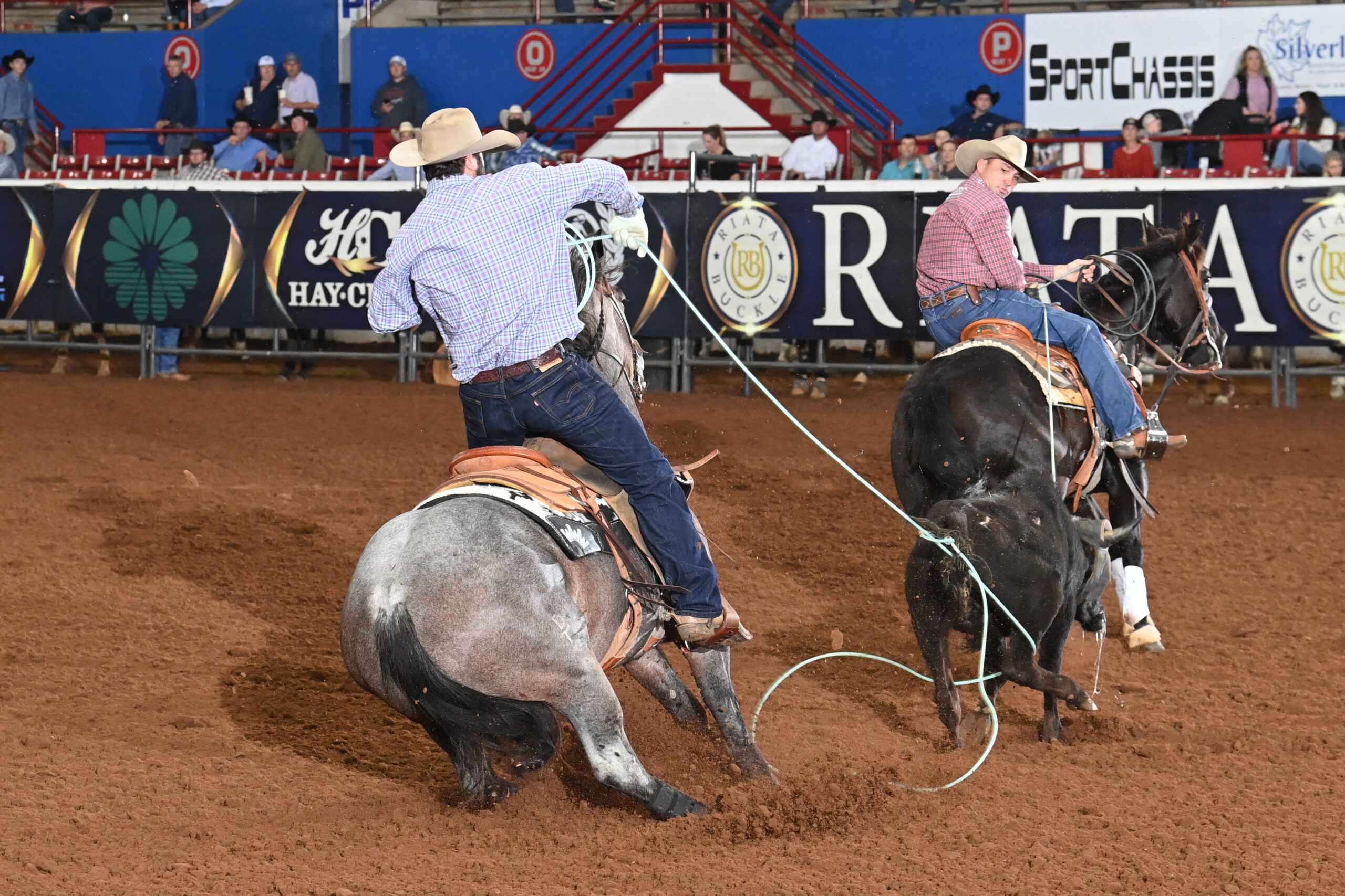 Riata Buckle on Roping.com - The Team Roping Journal
