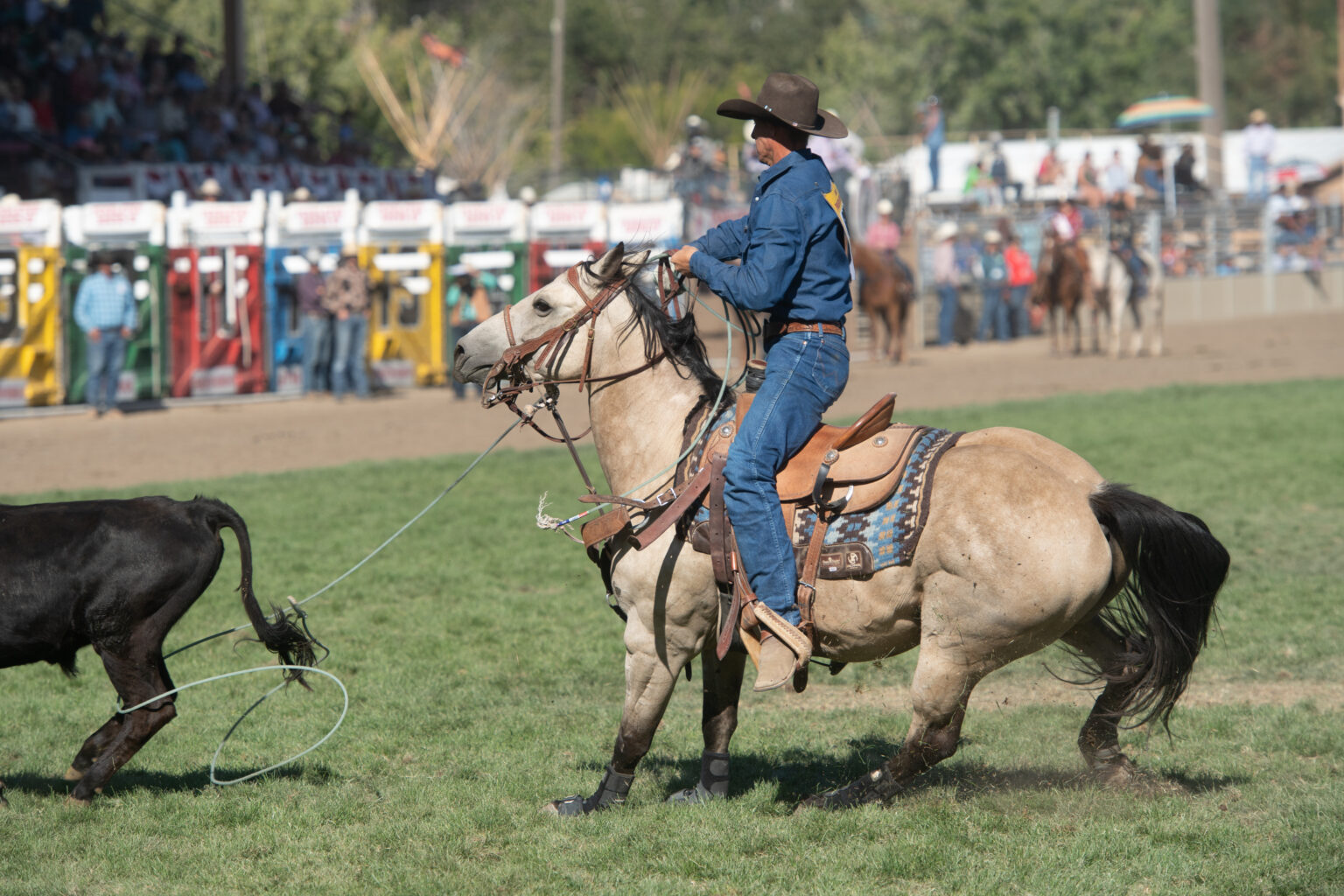 2023 Pendleton Round-Up Results