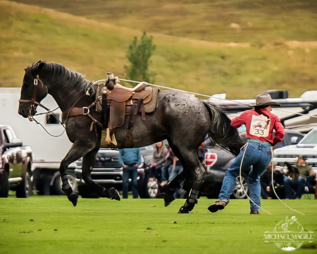 Kassandra Shoemaker Makes Steer Roping History