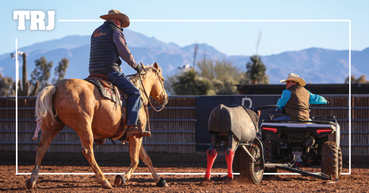 Rope Horse Training: Circling for Softness