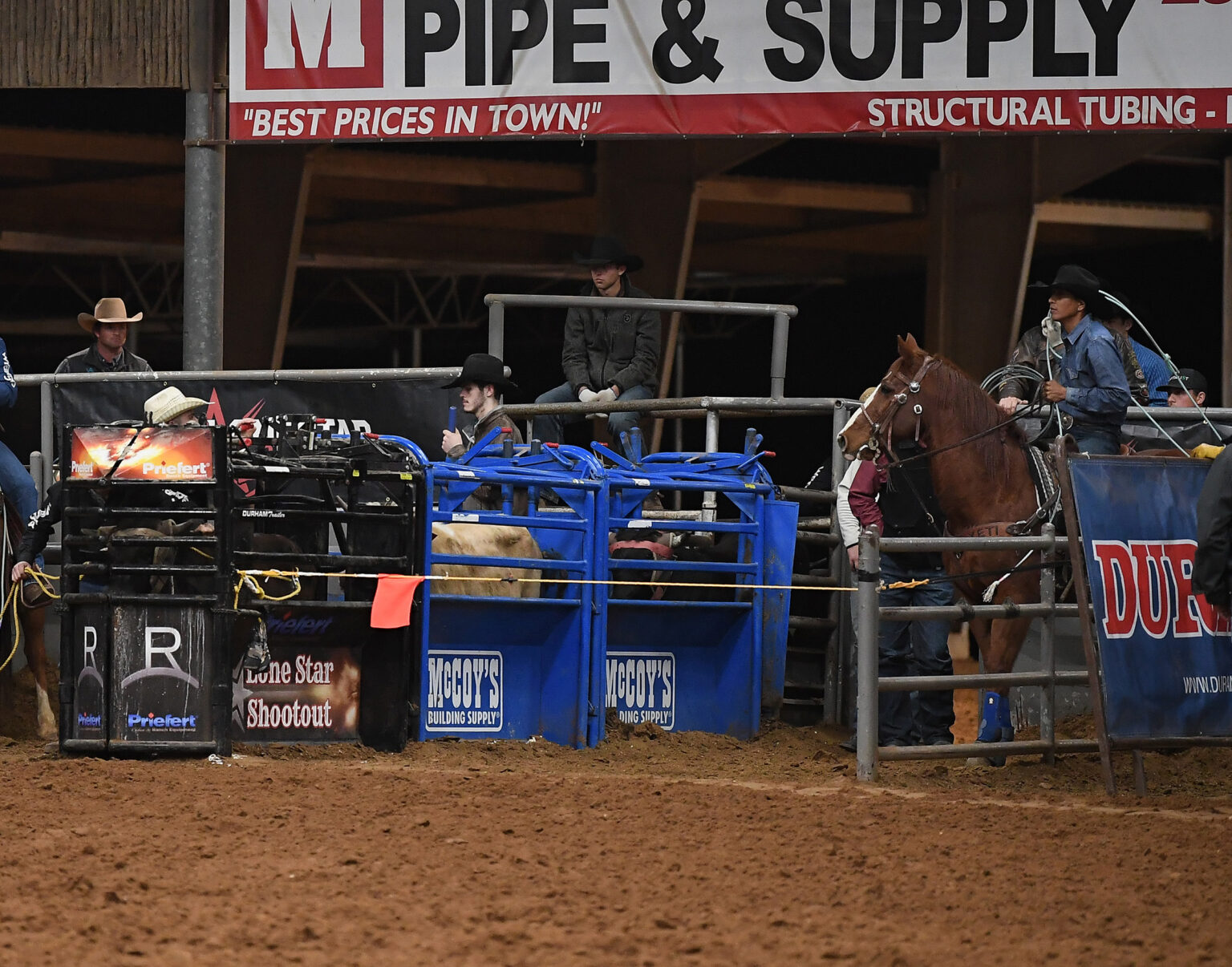 Reading Cattle, with Derrick Begay