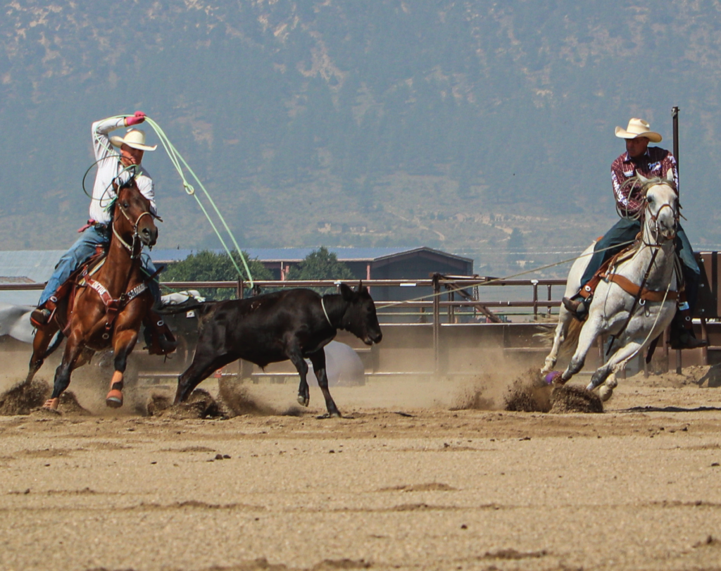 Let's See It: Taking Advantage of Every Visual Cue - The Team Roping ...