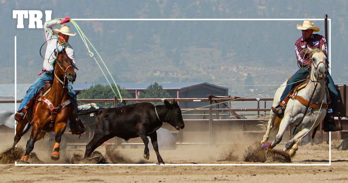 Let's See It: Taking Advantage of Every Visual Cue - The Team Roping ...