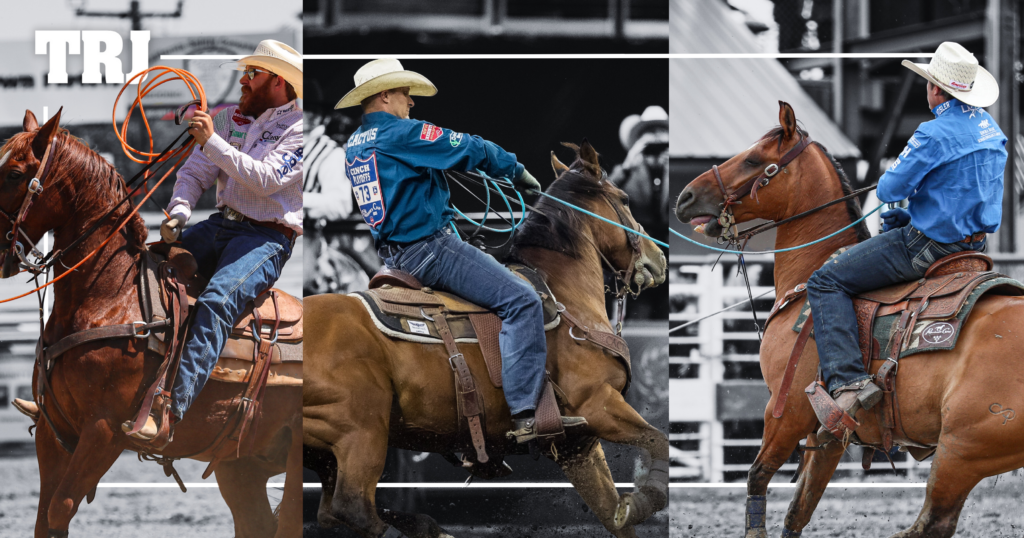 2023 NFR-Qualifying Heel Horse Pedigrees - The Team Roping Journal