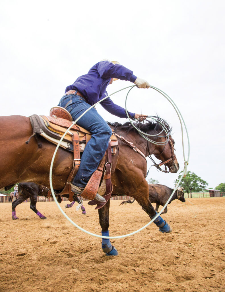 Hurricane Helene: How the Roping Community Can Help - The Team Roping ...