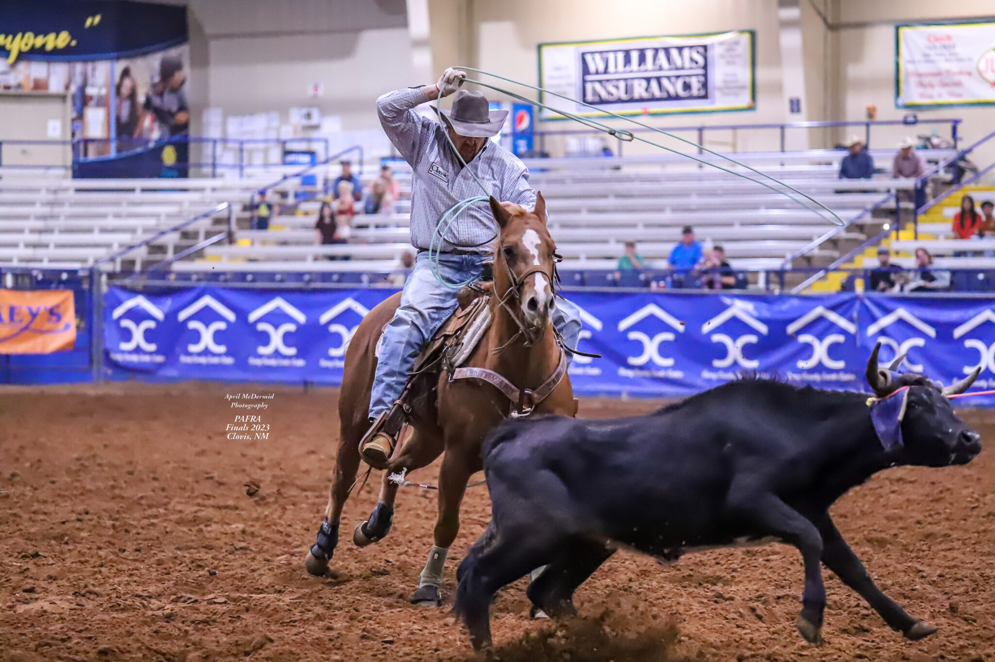Results: 2023 PAFRA Team Roping World Champions - The Team Roping Journal