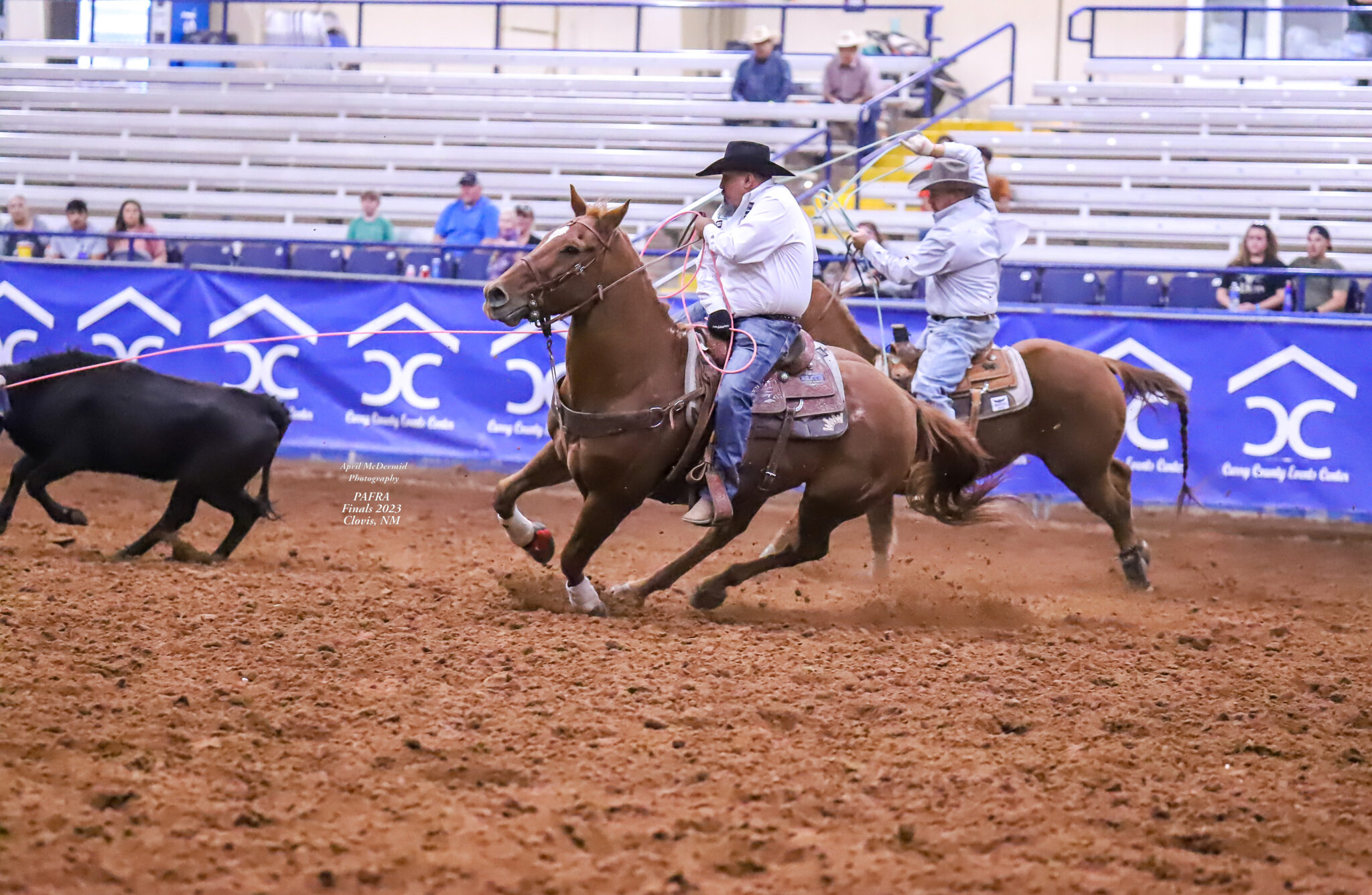 Results: 2023 PAFRA Team Roping World Champions - The Team Roping Journal