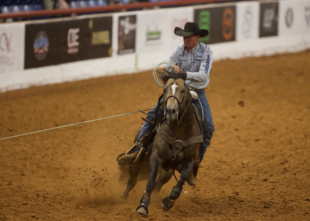 Sevens Star Glo Leads Superhorse Standings - The Team Roping Journal