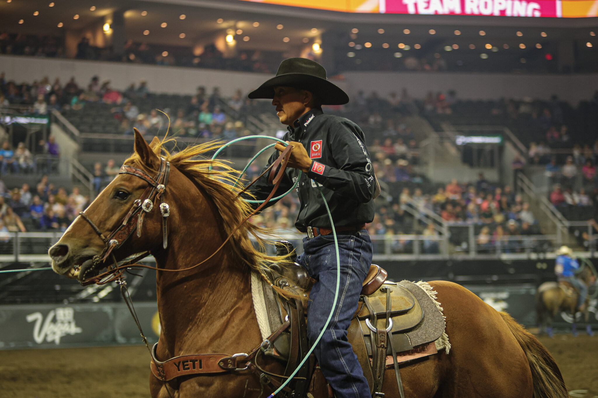 Derrick Begay's 2023 NFR Horse