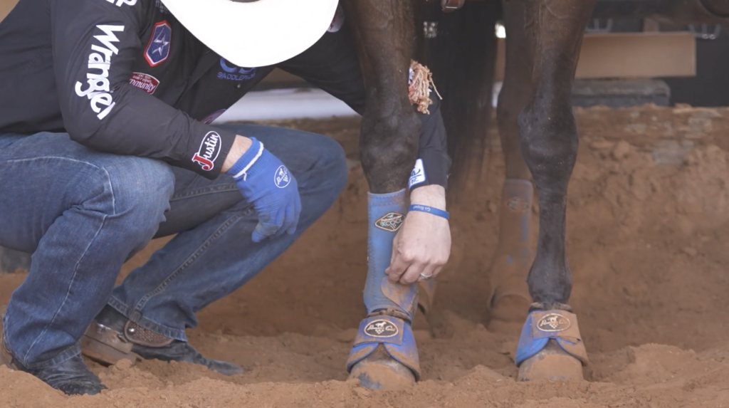 Protective Boots for Team Roping Horses