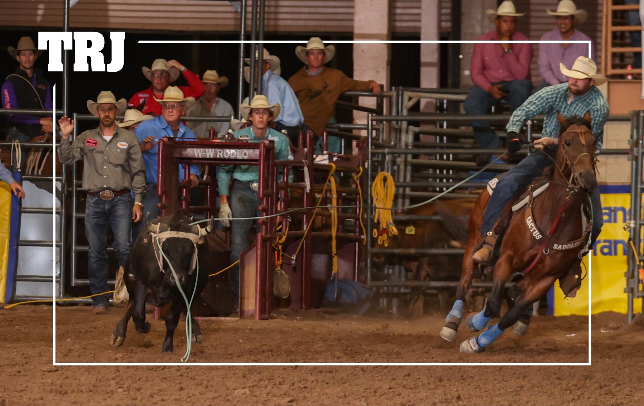 Cole Thomas Wins 2023 Resistol Rookie of the Year by $15K+