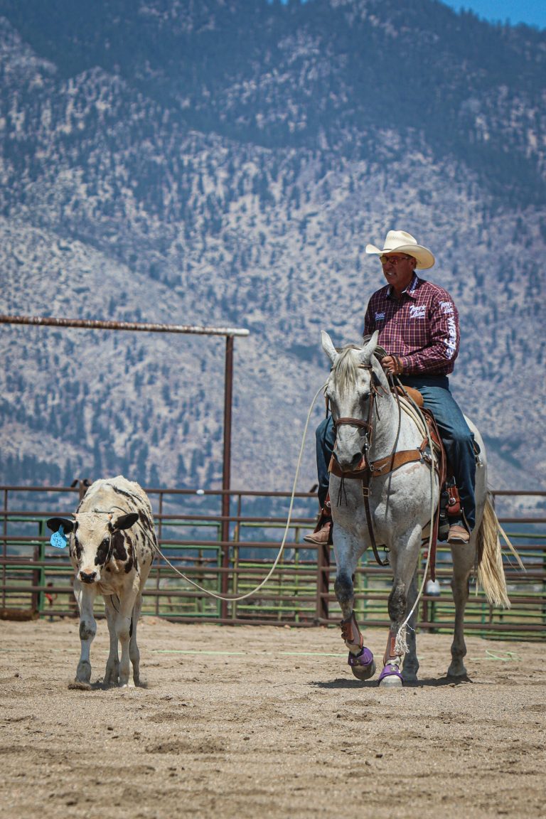 Team Roping Journal — Home