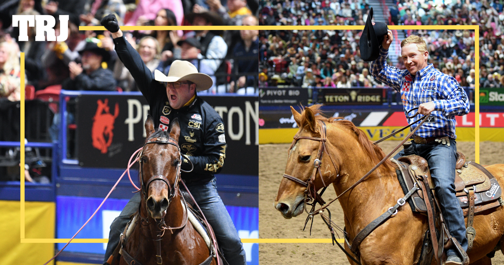 How Are 2023's NFR Head Horses Bred? - The Team Roping Journal