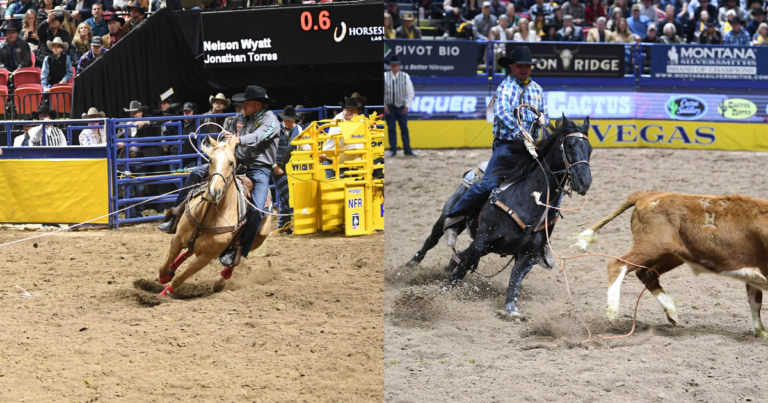 2023 NFR Round 5 Cheat Sheet