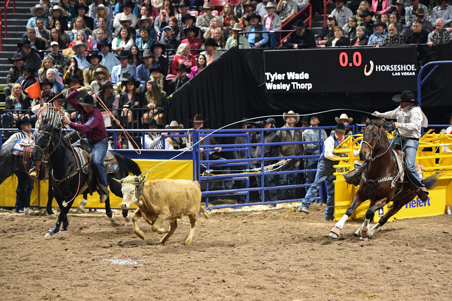 Wade & Thorp Tie Team Roping World Record in Round 8 of NFR