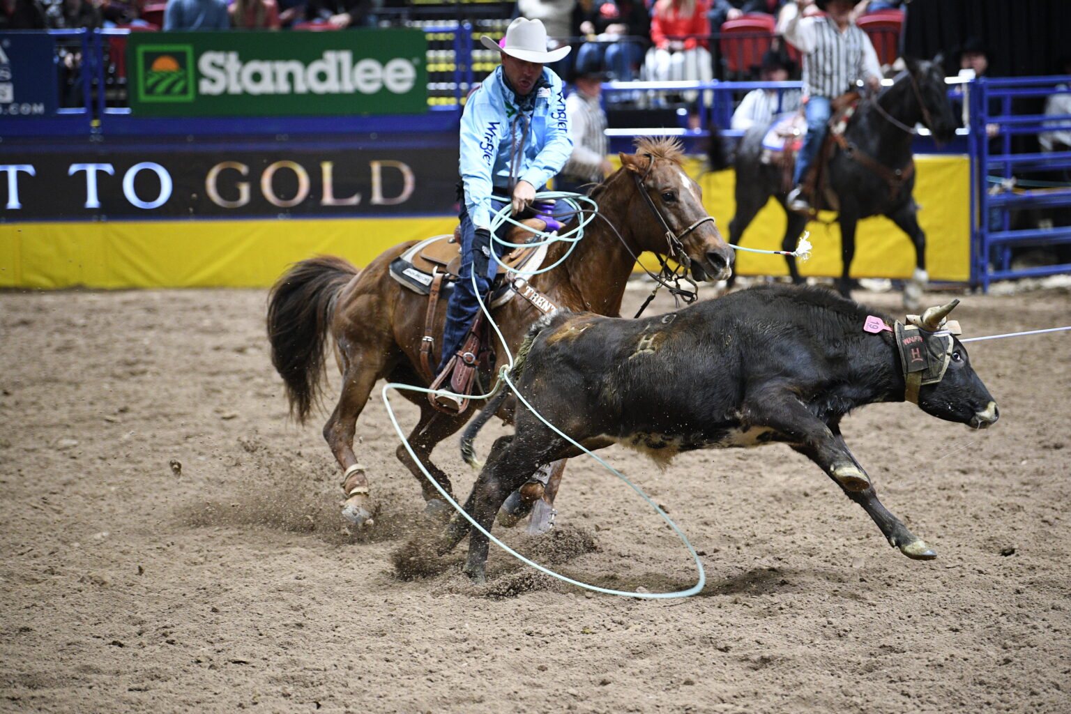 Projections: 2023 NFR Round 9 Cheat Sheet