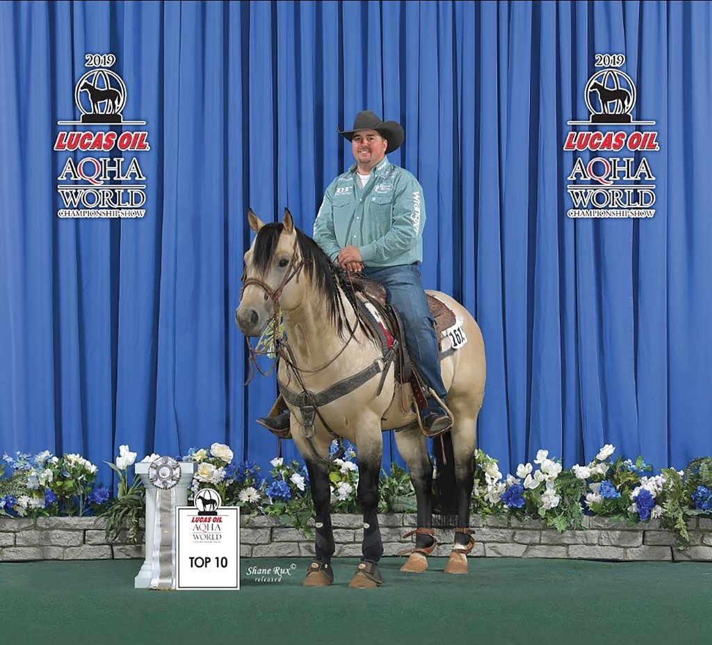 Rope Horse Breeder's Guide Stallion: Watch Jack Winit