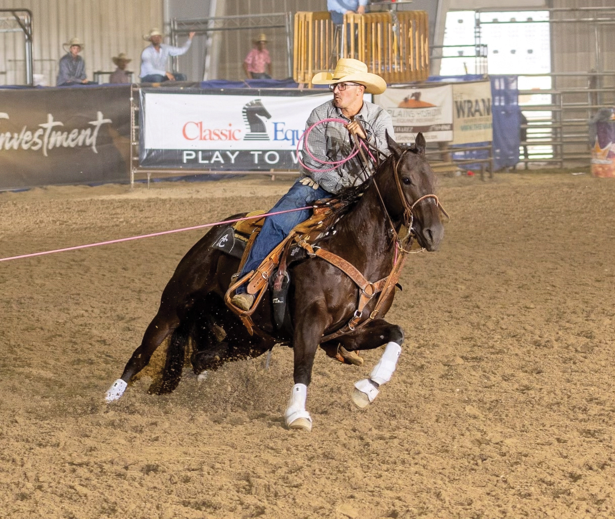 Rope Horse Breeder's Guide Stallion: Winners Version