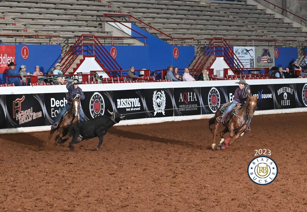 Rope Horse Breeder's Guide Stallion: Bowmans Metallic Cat