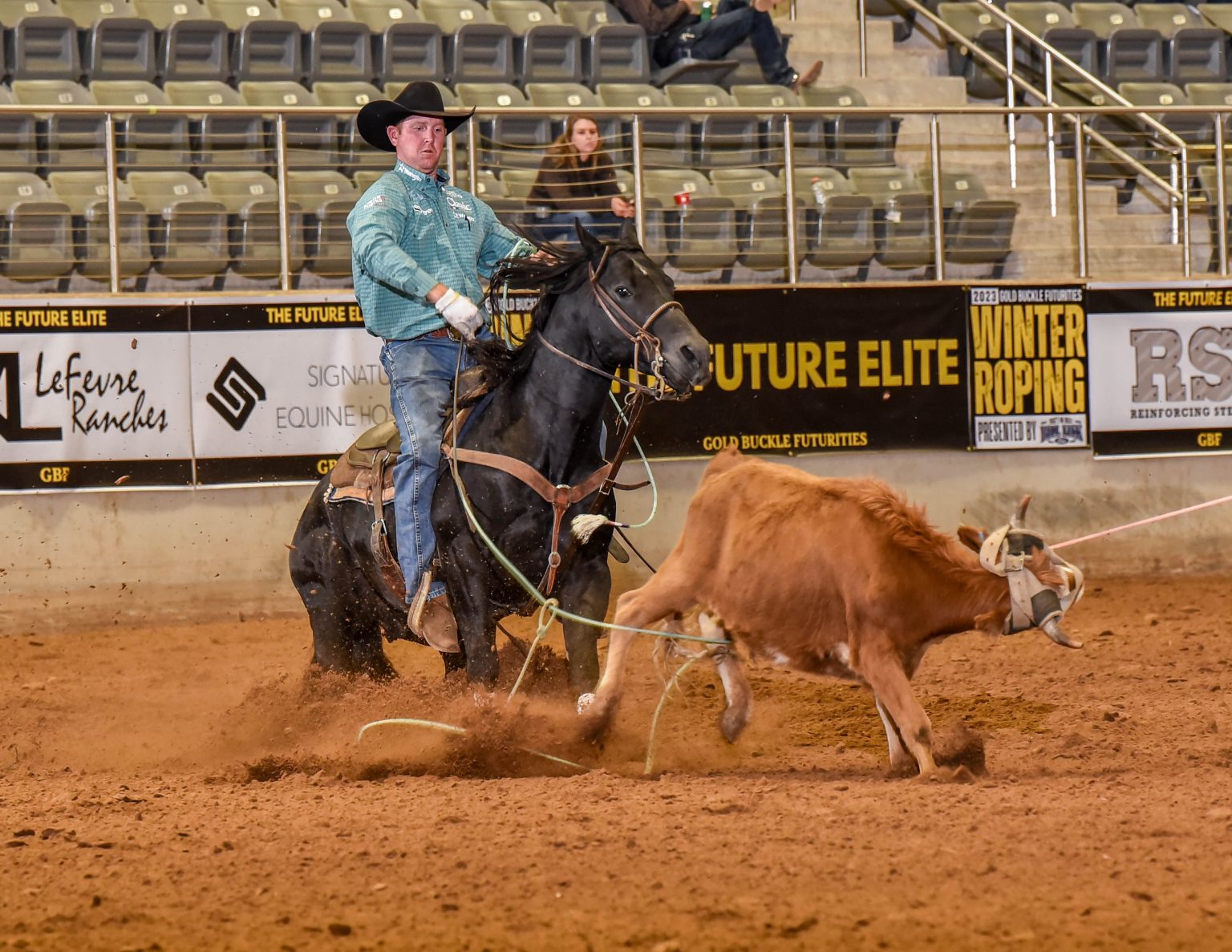 Time To Glo is the Richest Rope Horse of 2023 - The Team Roping Journal