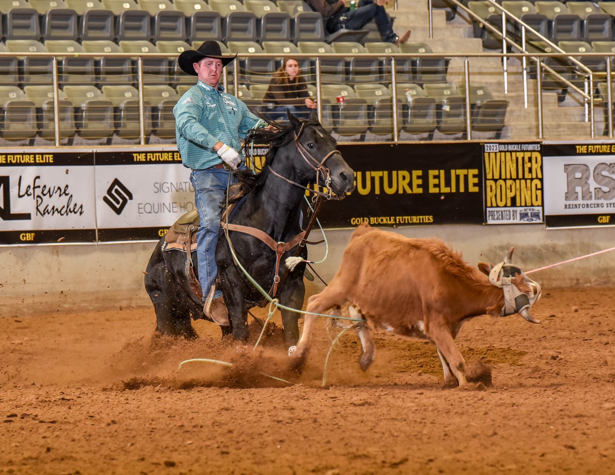 Time To Glo is the Richest Rope Horse of 2023 - The Team Roping Journal
