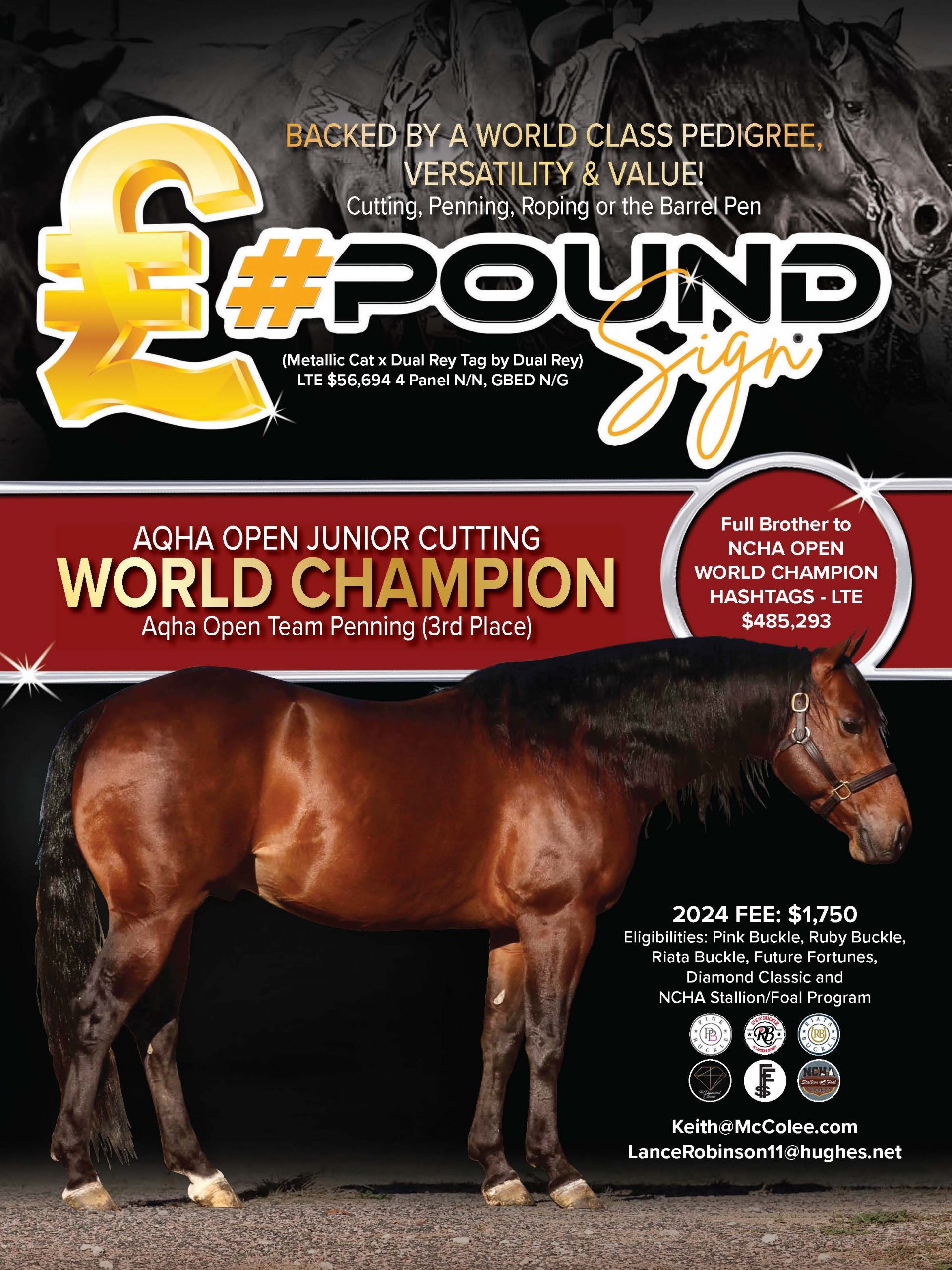 Rope Horse Breeder's Guide Stallion: Pound Sign