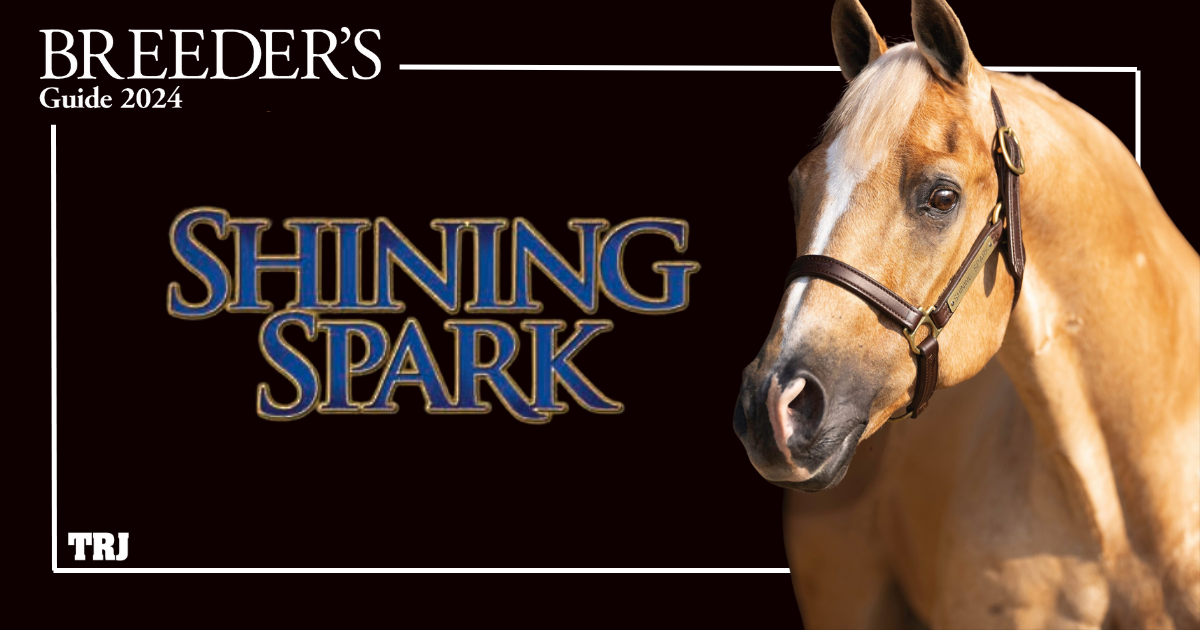 Rope Horse Breeder's Guide Stallion: Shining Spark