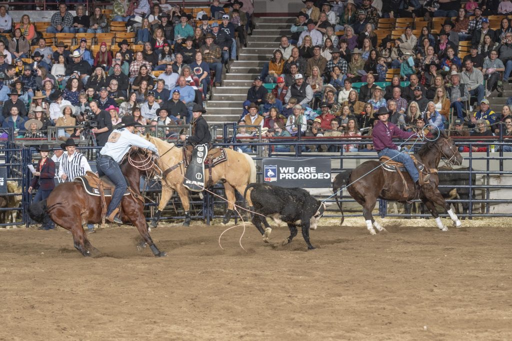 2024 PRCA Winter Rodeos Results